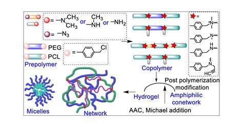 Library Of Derivatizable Multiblock Copolymers By Nucleophilic Substitution Polymerization And