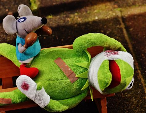 Gambar : mouse, hewan, imut, hijau, warna, kotak, katak, duduk, beruang ...