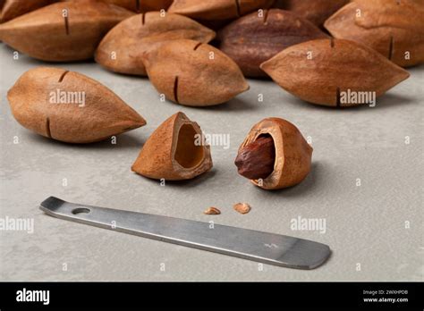 Shelled Pili Nut Close Up And Unshelled Nuts At The Background Stock