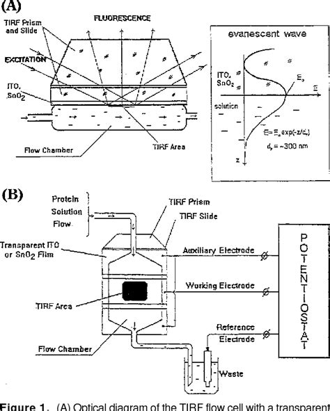 Complement Total Hemolytic Ch100 Acnc Pt Ser Plas Qn Semantic Scholar