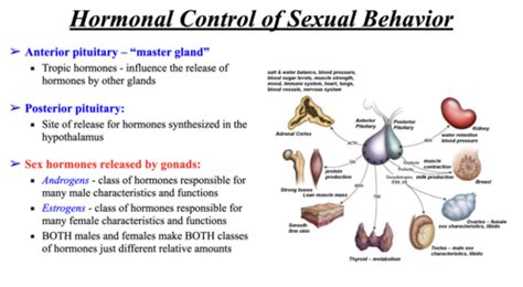 Chapter 10 Sexual And Reproductive Behaviors Exam 3 Flashcards Quizlet