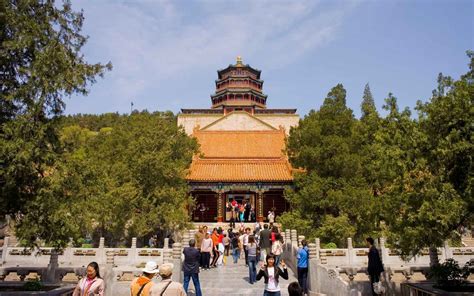 丁香花高清大图图片 4 25H NET壁纸库