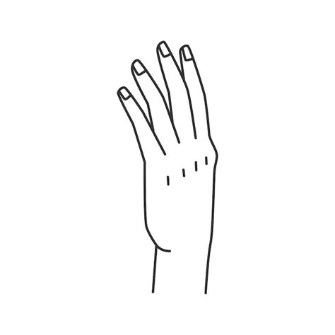 Palma Con Los Dedos Mano Gesto Línea Abstracta Brazo Vector Premium
