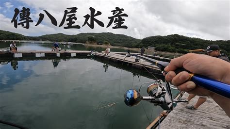 Vol 24海上釣堀傳八屋水産 真夏の海上釣堀 浮き釣りと脈釣りで釣果を伸ばそう YouTube