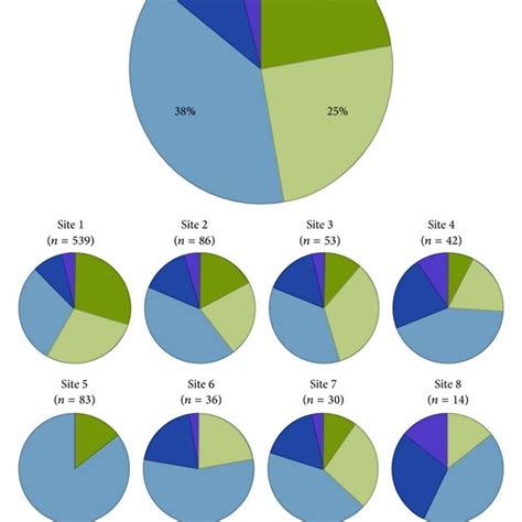 Distribution Of Fraction Of Inspired Oxygen FiO2 Ranges Overall And Download Scientific