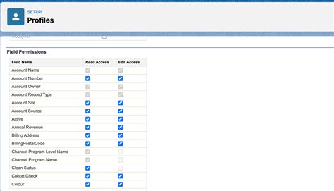 Salesforce Fls Profile Page