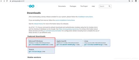 最新windows下go语言开发环境搭建 goland配置 goland windwos 驱动 csdn博客