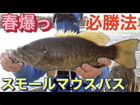 スモールマウス必勝法！ バス釣り おかっぱり 鬼怒川 釣りgirl