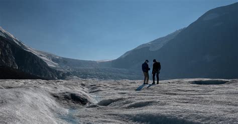 Fiennes Return To The Wild Veronica Superguide
