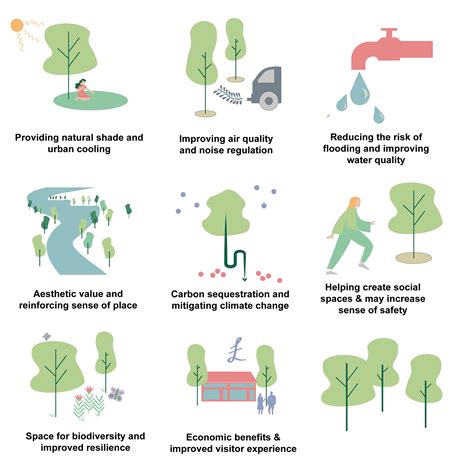 Urban Tree Planting Strategies Pembrokeshire Coast National Park