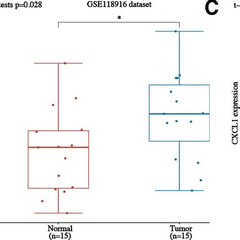 Cxcl2 Expression In Stad Box Plot Showing Cxcl2 Levels In Stad Tissues