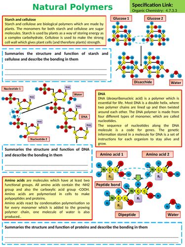 Ks4 Aqa Gcse Chemistry Science Natural Polymers Lesson And Activities