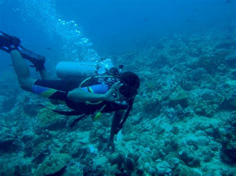 Shorelines Blog Archive Why We Like Science Shorelines