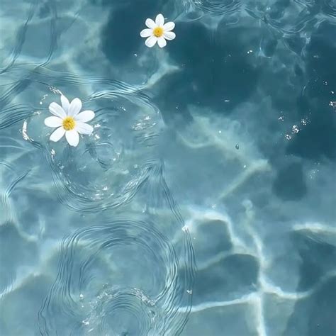 Lianne Threads Say More