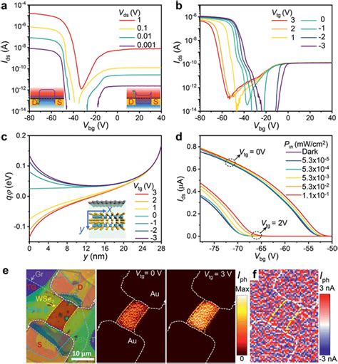 Electrical Characterization And Photoresponse Of The Dual‐gate Wse2