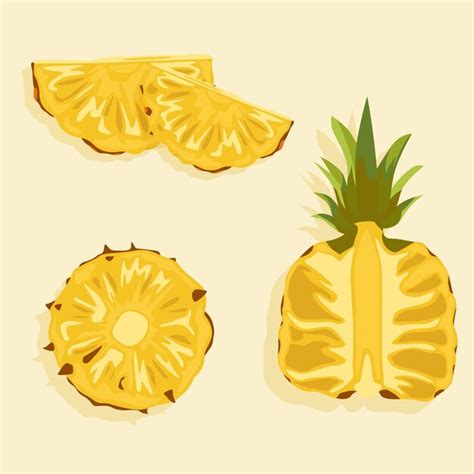 Cortar rodajas de piña y fruta fruta tropical madura comida de verano iconos de comida en vector