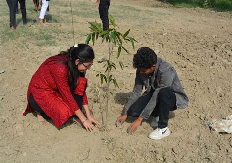 Tree Plantation Drive Noida International University