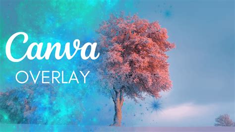 learn canva overlay r webdevtutorials