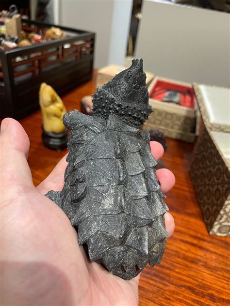 Macroclemys Temminckii Alligator Snapping Turtle Handmade Etsy
