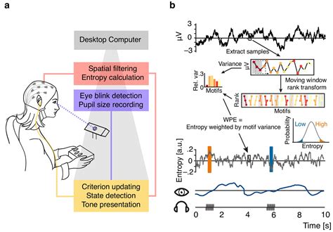Figures And Data In Local Cortical Desynchronization And Pupil Linked Arousal Differentially