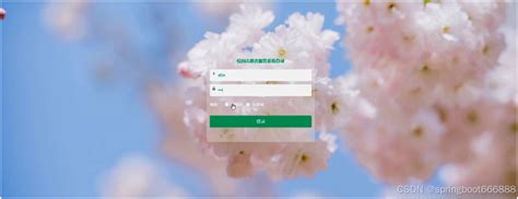 java php node js python校园志愿者服务系统【2024年毕设】 csdn博客