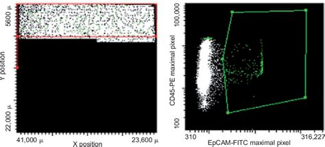 Figure 1 From Demasking Of Epithelial Cell Adhesion Molecule Epcam On