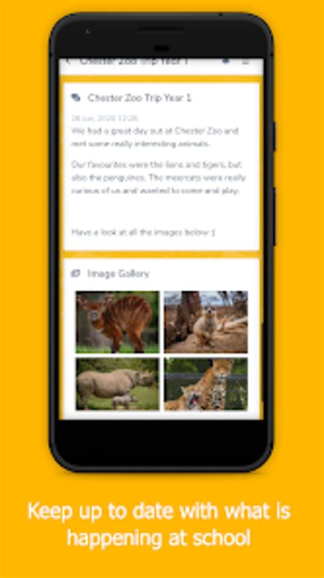 School Spider For Android Download