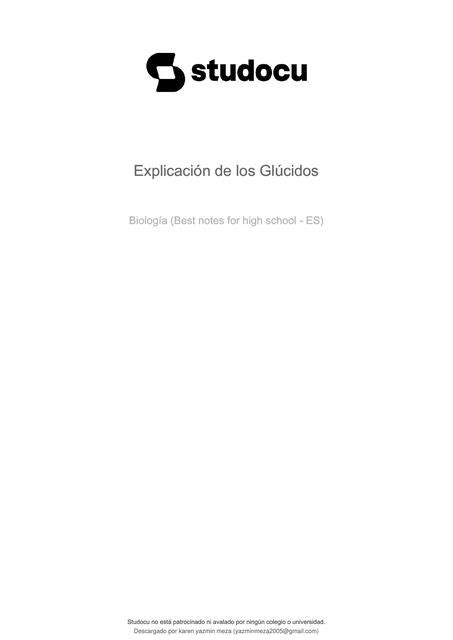 Explicación De Los Glúcidos Magali Sosa Udocz