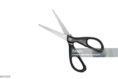 흰색 배경에 종이를 절단이발사 또는 정원사 가위 또는 문구 가위에 대한 스톡 사진 및 기타 이미지 가위 원예 칼로 찌르기 Istock