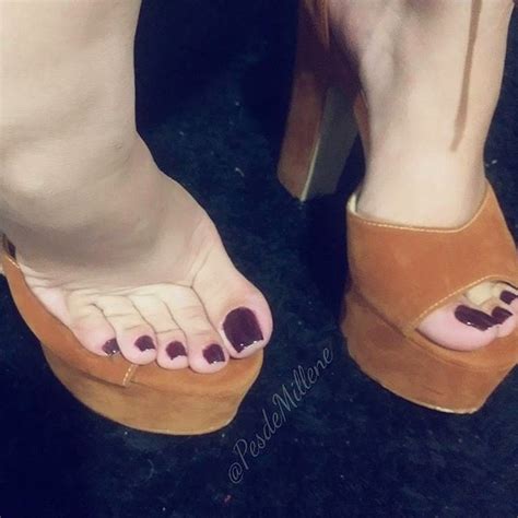 Pin På Bellos Pies