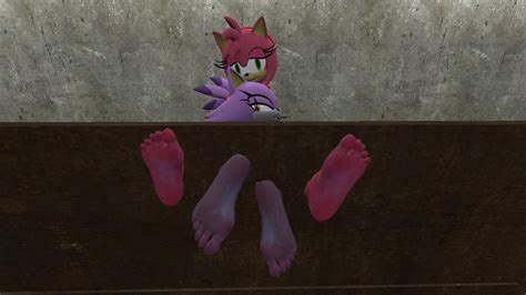 Blaze And Amy Soles 1 By Hectorlongshot On Deviantart