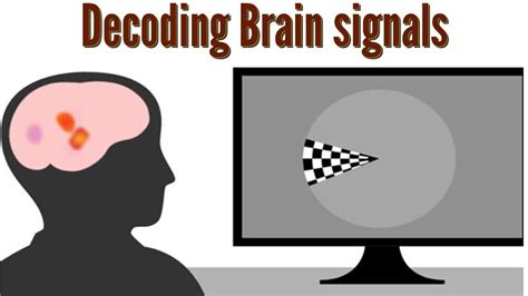 Decoding Brain Signals Understanding What We See