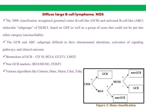Who 2016 Update On Classification Of Lymphoid Neoplasms