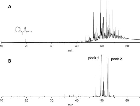 Total Ion Chromatograms TICs Of The GC MS Analysis Of Great Cormorant