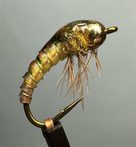 Caddis Nymph Fly Pattern Etsy