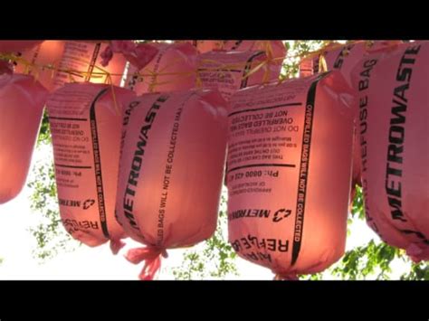 Brydee Rood A Gallery From Arts On Sunday Rnz National