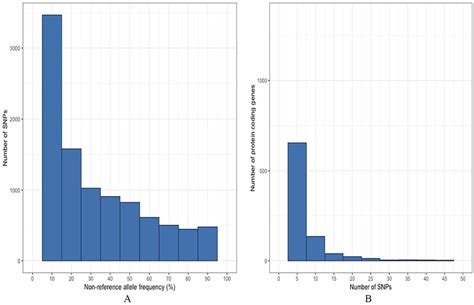 Of Snps Characteristics A Frequency Distribution Of The