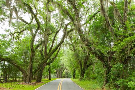 Tallahassee Photo Gallery