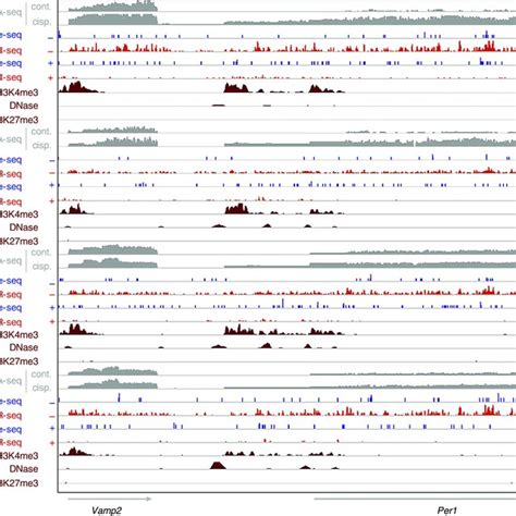 Motif Enrichment Analysis Identifies Candidate Tf Regulators Of