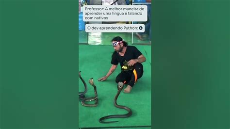 Dev Tentando Aprender Python Programação Meme Desenvolvedor Youtube