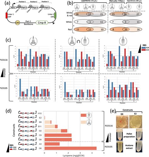 Automated Construction Of 88 Distinct Plasmids Coding For Lycopene