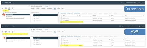 configure azure netapp files with azure vmware solution running vmware