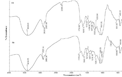 Ftir Spectra Of Oplp A Before Adsorption And B After Adsorption