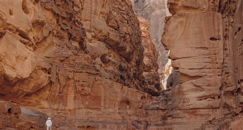 What Is The Difference Between Put And Patch A Comprehensive Guide Developer Diary