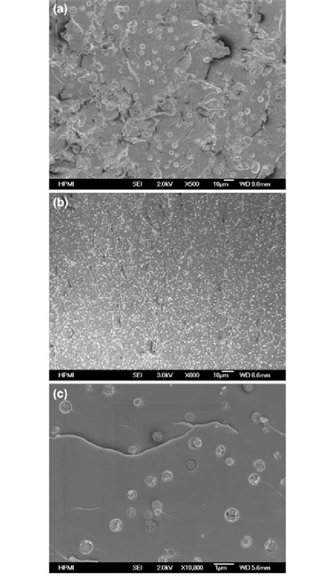 Sem Micrographs Of The Hybrid Composites Cured With Or Without Al A