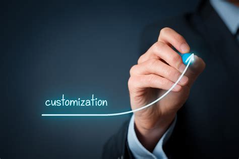 Customizing An Existing Risc V Processor Codasip