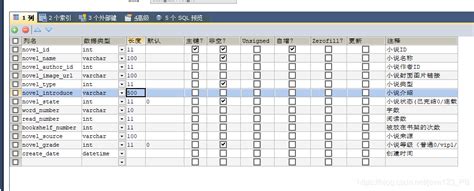 spring data jpa 实体类中字段不与数据库表映射 使用 transient 注解无效的解决方法 jpa transient query nativequery 字段映射为空