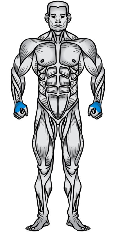 Palmar Fascia Lacrosse Ball Video Exercise Guide And Tips