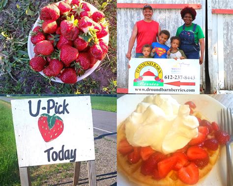 Minnesota Grown Home Facebook