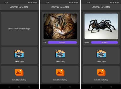 Animal Detection With Flutter And Tflite